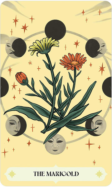 Herbana Witch Oracle – The Empress & Wolf