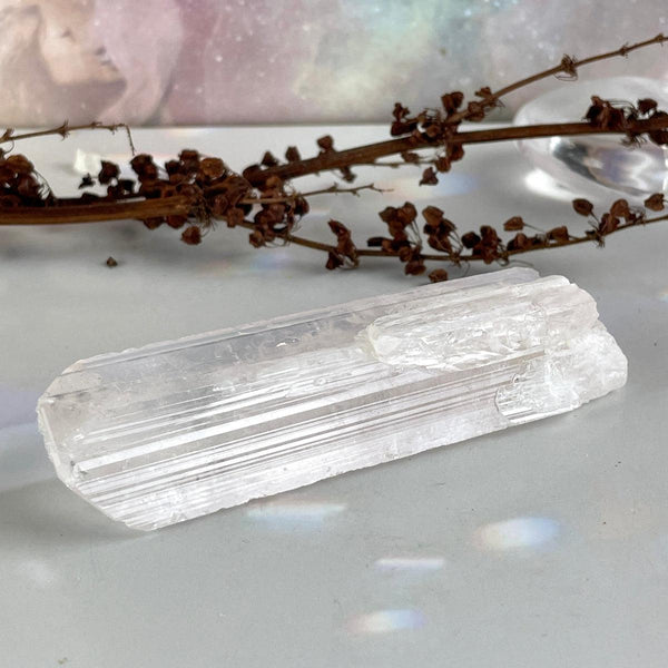 Danburite Raw Crystal Bars – The Empress & Wolf